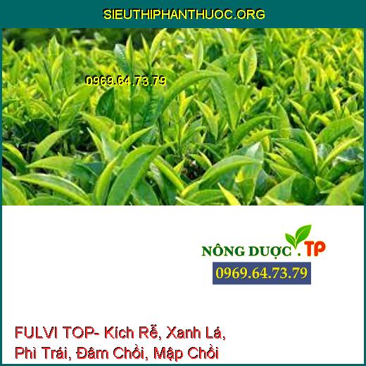FULVI TOP- Kích Rễ, Xanh Lá, Phì Trái, Đâm Chồi, Mập Chồi - SIÊU THỊ ...