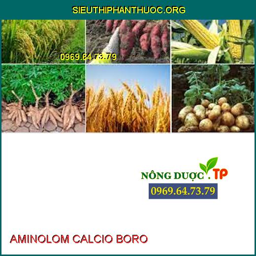 AMINOLOM CALCIO BORO+ -Thân Chắc Khỏe, Lá Xanh Dày, Chống Rụng Trái ...
