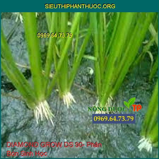 DIAMOND GROW DS 90- Phân Bón Sinh Học Cao Cấp Nuôi Bộ Rễ, Thân Mập, Lá ...