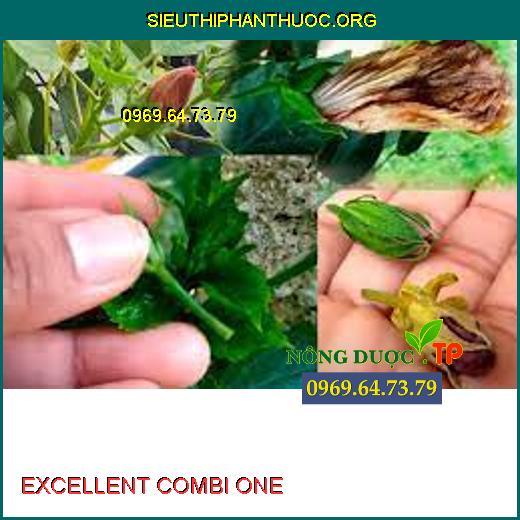 EXCELLENT COMBI ONE- Đặc Trị Vàng Lá, Xoắn Lá - SIÊU THỊ PHÂN THUỐC
