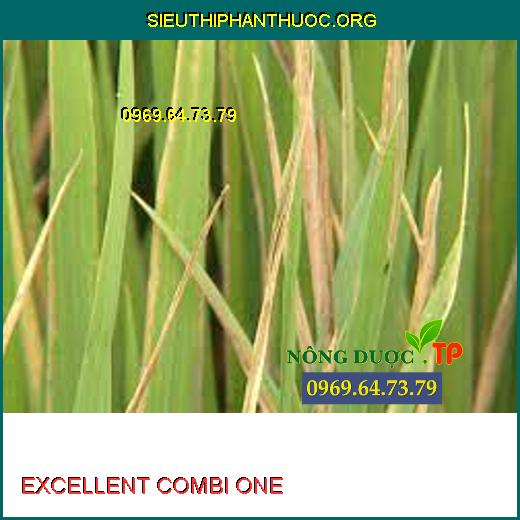 EXCELLENT COMBI ONE- Đặc Trị Vàng Lá, Xoắn Lá - SIÊU THỊ PHÂN THUỐC