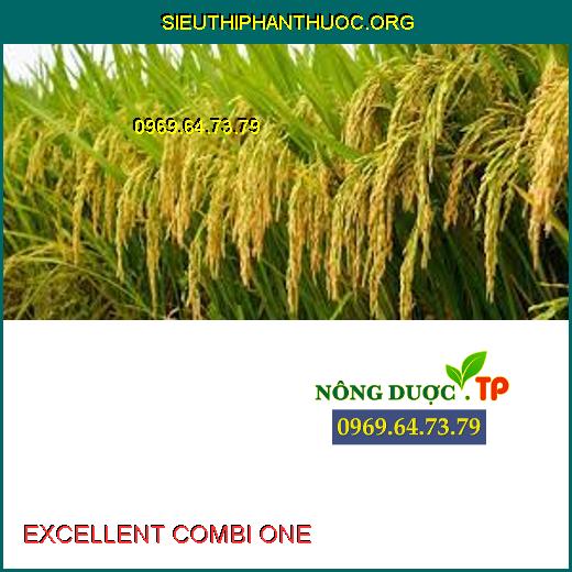 EXCELLENT COMBI ONE- Đặc Trị Vàng Lá, Xoắn Lá - SIÊU THỊ PHÂN THUỐC