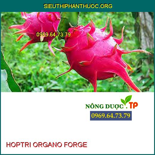 HOPTRI ORGANO FORGE- Siêu Vọt Đọt, Siêu Lớn Trái - SIÊU THỊ PHÂN THUỐC