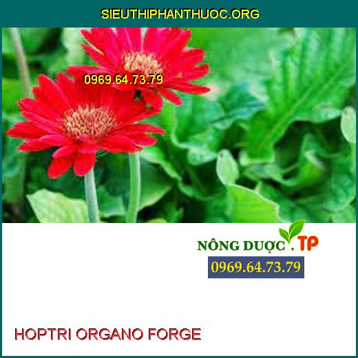 HOPTRI ORGANO FORGE- Siêu Vọt Đọt, Siêu Lớn Trái - SIÊU THỊ PHÂN THUỐC