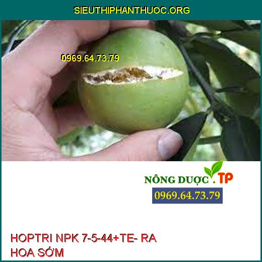 HOPTRI NPK 7-5-44+TE- RA HOA SỚM, HOA TRỔ ĐỀU, ĐỒNG LOẠT - SIÊU THỊ ...