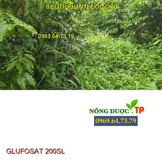 GLUFOSAT 200SL- Thuốc Đặc Trị Cỏ Hòa Bản, Cỏ Lá Rộng, Các Loại Cỏ Đã ...