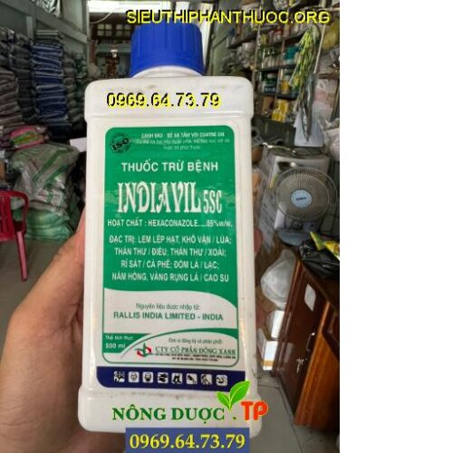 Top 3 Thuốc đặc trị bệnh phồng lá cho cây trồng - SIÊU THỊ PHÂN THUỐC