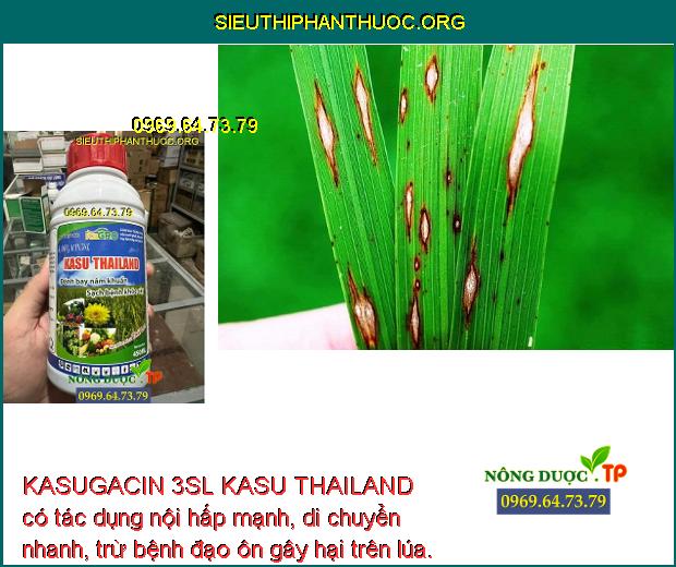 KASUGACIN 3SL KASU THAILAND - Đặc Trị Bệnh Khô Vằn, Đạo Ôn Trên Lúa ...