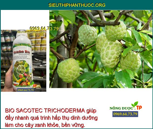 BIO SACOTEC TRICHO BIO TRICHODERMA NẤM ĐỐI KHÁNG - Cải Tạo Đất, Ngăn ...
