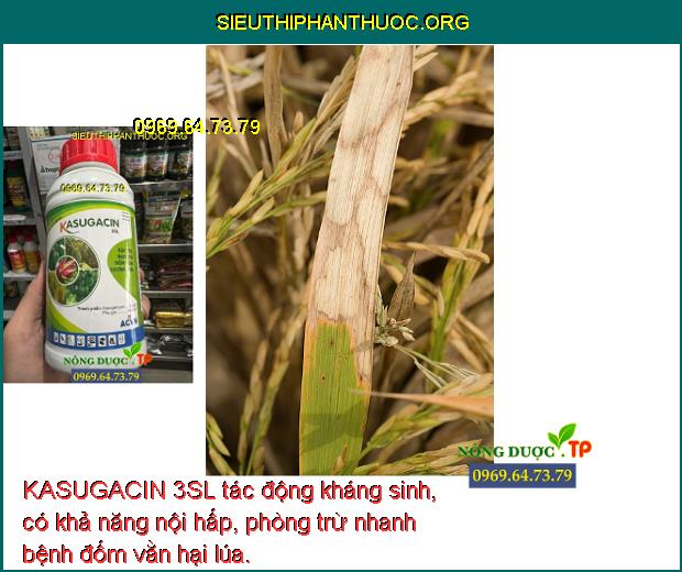 KASUGACIN 3SL - Đặc Trị Đạo Ôn, Đốm Vằn, Sương Mai - SIÊU THỊ PHÂN THUỐC