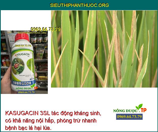 KASUGACIN 3SL - Đặc Trị Đạo Ôn, Đốm Vằn, Sương Mai - SIÊU THỊ PHÂN THUỐC