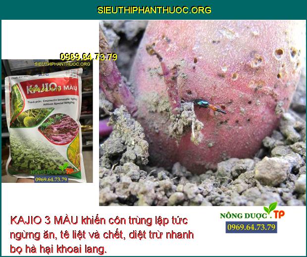 KAJIO 3 MÀU - Đặc Trị Tuyến Trùng, Sâu Đục Thân, Muỗi Hành, Ve Sầu Mối ...