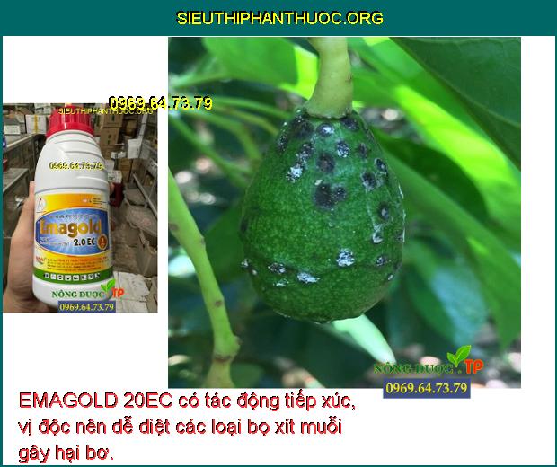 EMAGOLD 20EC - Đặc Trị Sâu Khoang Trên Lạc Và Sâu Cuốn Lá Trên Lúa ...