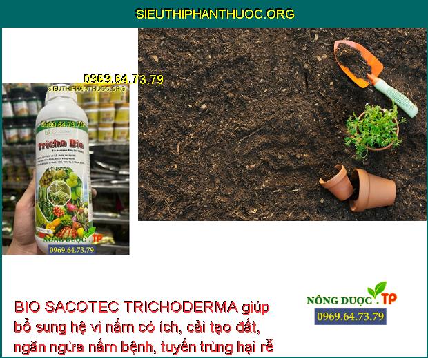BIO SACOTEC TRICHO BIO TRICHODERMA NẤM ĐỐI KHÁNG - Cải Tạo Đất, Ngăn ...