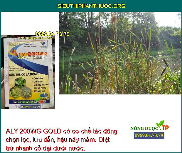 ALY 200WG GOLD - Đặc Trị Cỏ Lá Rộng, Cỏ Cháo, Cỏ Chác, Cỏ Rau Mương ...