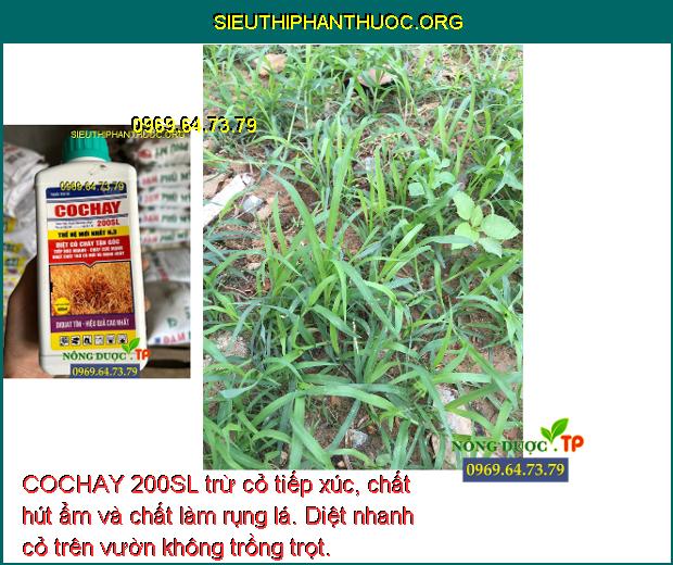 COCHAY 200SL - Đặc Trị Cỏ Tranh, Cỏ Lồng Vực, Cỏ Túc, Cỏ Mần Trầu, Cỏ ...
