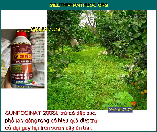SUNFOSINAT 200SL SƯ TỬ ĐỎ - Trừ Cỏ Lá Rộng, Lá Hẹp Không Chọn Lọc Trên ...