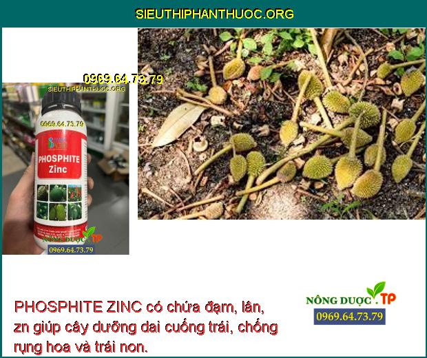 PHOSPHITE ZINC - Kích Ra Hoa, Tăng Đậu Trái, Chống Rụng Trái Non - SIÊU ...