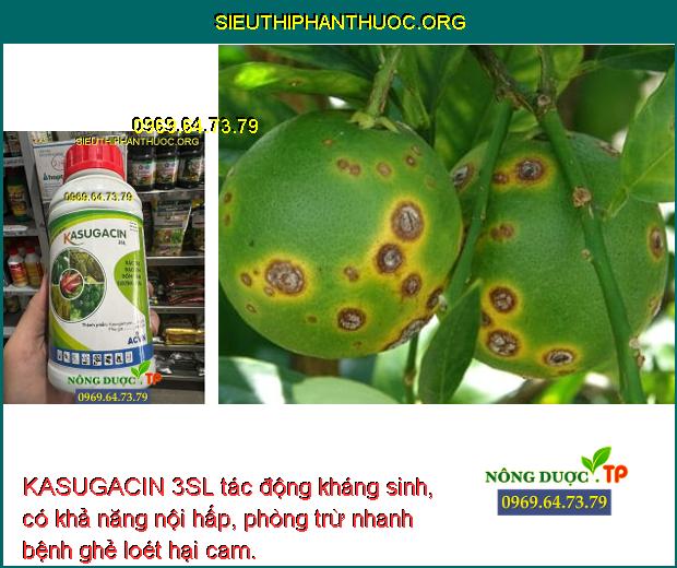 KASUGACIN 3SL - Đặc Trị Đạo Ôn, Đốm Vằn, Sương Mai - SIÊU THỊ PHÂN THUỐC