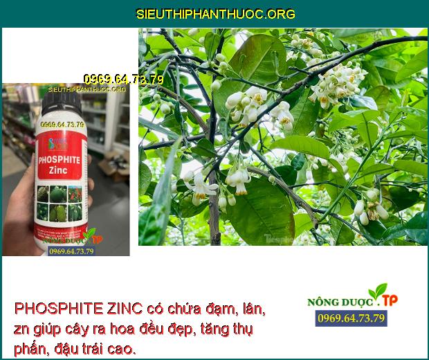 PHOSPHITE ZINC - Kích Ra Hoa, Tăng Đậu Trái, Chống Rụng Trái Non - SIÊU ...