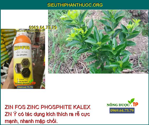 ZIN FOS ZINC PHOSPHITE KALEX ZN Ý - Đặc Trị Vàng Lá, Thối Rễ, Nứt Thân ...