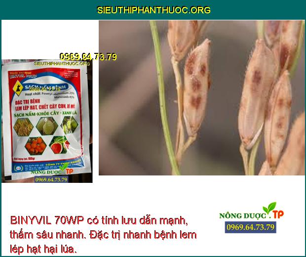 BINYVIL 70WP SẠCH NẤM BỆNH - Đặc Trị Lem Lép Hạt, Chết Cây Con, Xì Mủ ...