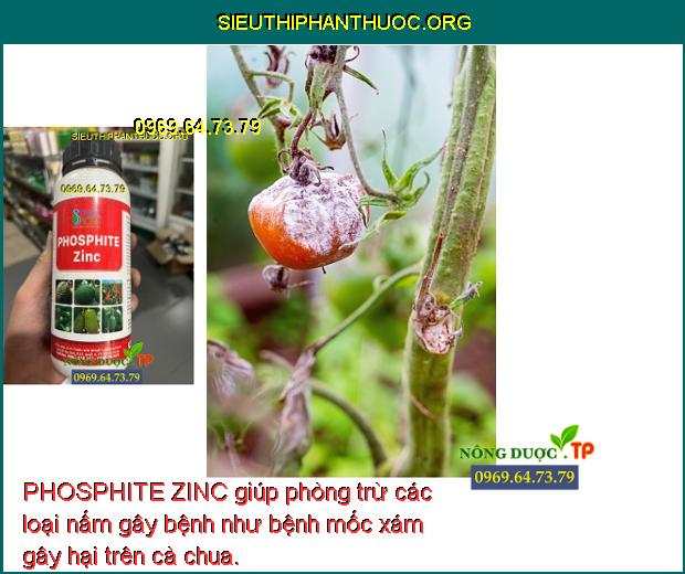 PHOSPHITE ZINC - Kích Ra Hoa, Tăng Đậu Trái, Chống Rụng Trái Non - SIÊU ...