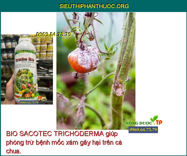 BIO SACOTEC TRICHO BIO TRICHODERMA NẤM ĐỐI KHÁNG - Cải Tạo Đất, Ngăn ...