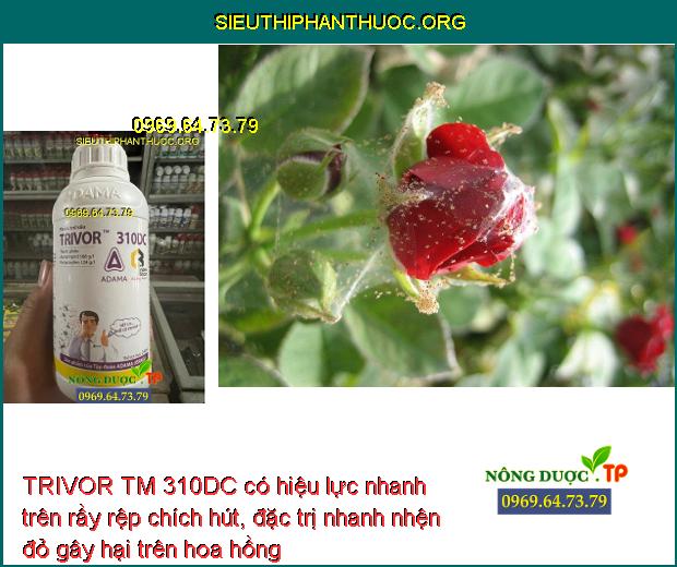 TRIVOR TM 310DC - Đặc Trị Rầy Phấn Trắng, Rệp Sáp, Bọ Nhảy - SIÊU THỊ ...