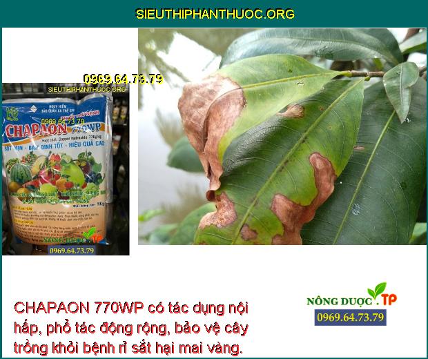 CHAPAON 770WP- Đặc Trị Sẹo Loét, Thối Nhũn, Sương Mai, Gỉ Sắt - SIÊU ...
