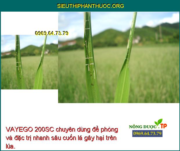 VAYEGO 200SC - Đặc Trị Sâu Hại Trên Lúa, Cây Ăn Trái, Rau Và Cây Công ...