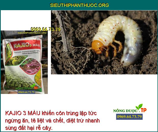 KAJIO 3 MÀU - Đặc Trị Tuyến Trùng, Sâu Đục Thân, Muỗi Hành, Ve Sầu Mối ...