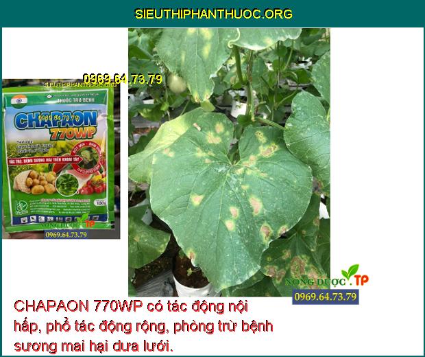 CHAPAON 770WP - Đặc Trị Sương Mai, Mốc Sương, Thán Thư, Khô Vằn, Vàng ...