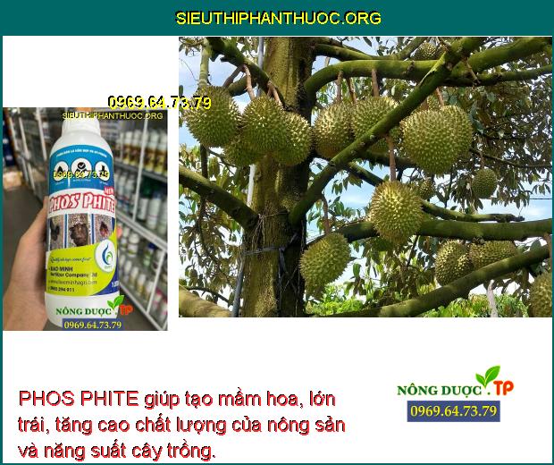 PHOS PHITE - Phân Bón Lá Tổng Hợp Kích Rễ, Tạo Mầm Hoa, Lớn Trái - SIÊU ...