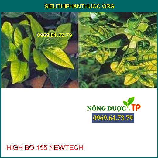 PHÂN BÓN HỮU CƠ RONG BIỂN AMINO AGAMIN EXTRA - Giúp Cây Trồng Giảm ...