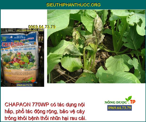 CHAPAON 770WP- Đặc Trị Sẹo Loét, Thối Nhũn, Sương Mai, Gỉ Sắt - SIÊU ...