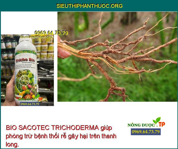 BIO SACOTEC TRICHO BIO TRICHODERMA NẤM ĐỐI KHÁNG - Cải Tạo Đất, Ngăn ...