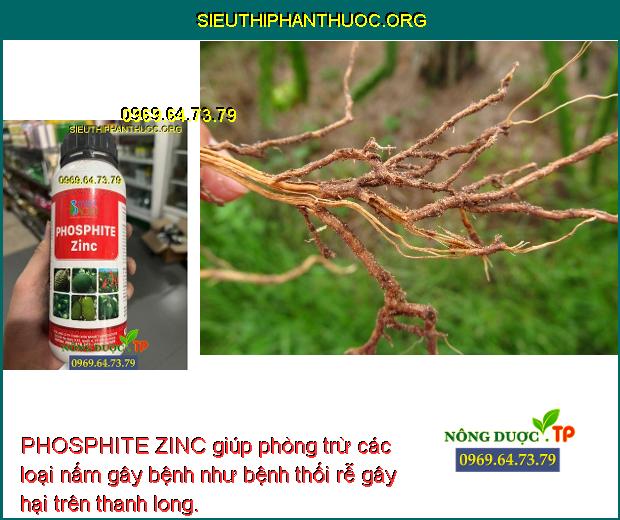 PHOSPHITE ZINC - Kích Ra Hoa, Tăng Đậu Trái, Chống Rụng Trái Non - SIÊU ...