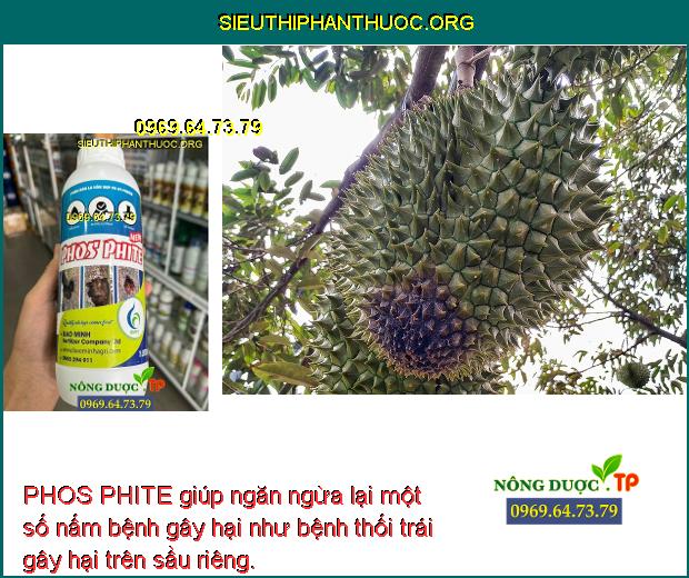 PHOS PHITE - Phân Bón Lá Tổng Hợp Kích Rễ, Tạo Mầm Hoa, Lớn Trái - SIÊU ...