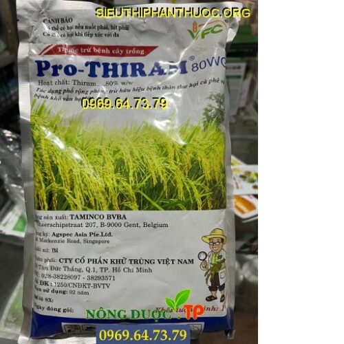 Bệnh Nứt Thân Và Top 10 Thuốc Đặc Trị Tốt Nhất. - SIÊU THỊ PHÂN THUỐC