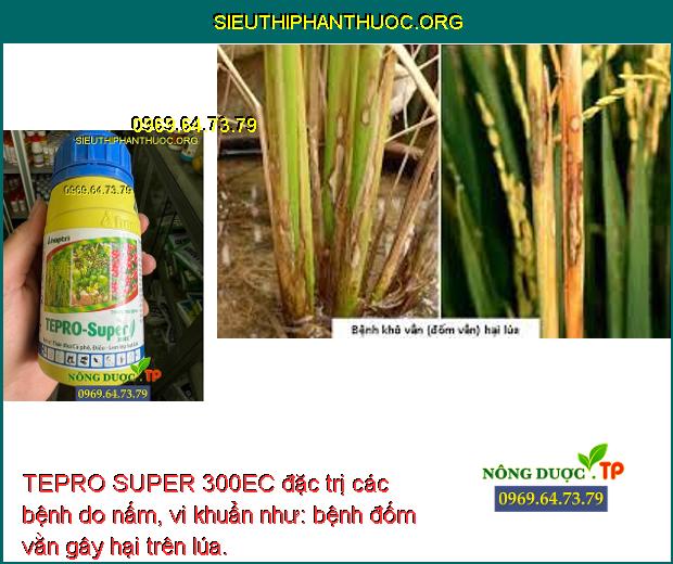 THUỐC TRỪ BỆNH HỢP TRÍ TEPRO SUPER 300EC - Đặc Trị Thán Thư Trên Cà Phê ...