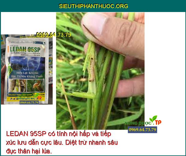 THUỐC TRỪ SÂU LEDAN 95SP - Đặc Trị Sâu Đục Thân Trên Lúa - SIÊU THỊ ...