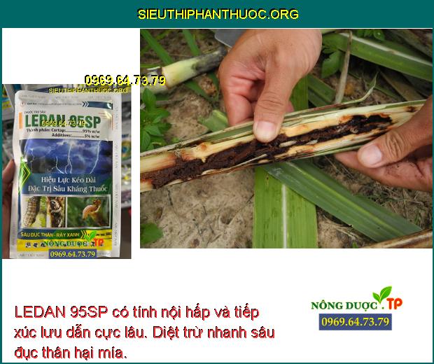 THUỐC TRỪ SÂU LEDAN 95SP - Đặc Trị Sâu Đục Thân Trên Lúa - SIÊU THỊ ...