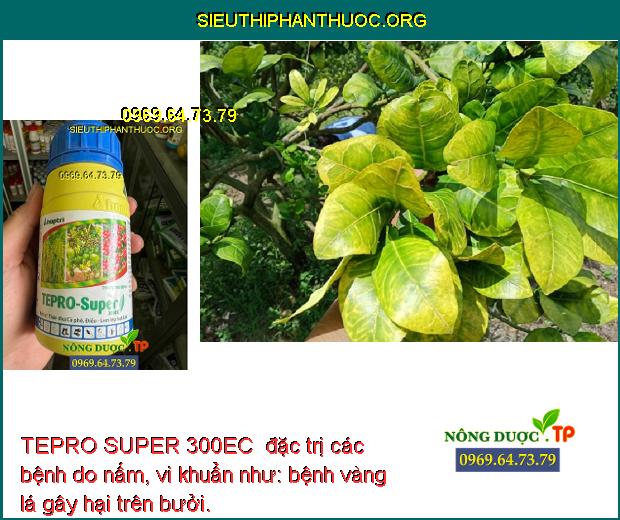 THUỐC TRỪ BỆNH HỢP TRÍ TEPRO SUPER 300EC - Đặc Trị Thán Thư Trên Cà Phê ...