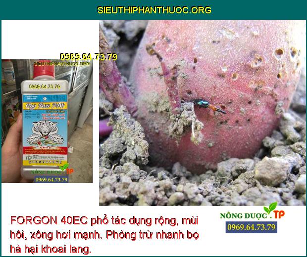 THUỐC TRỪ SÂU FORGON 40EC CỌP ĐEN 740 - Đặc Trị Tuyến Trùng, Rệp Sáp ...