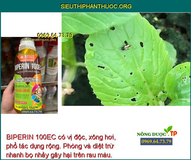 THUỐC TRỪ SÂU BIPERIN 100EC - Đặc Trị Các Loại Sâu Đã Kháng Thuốc Như ...