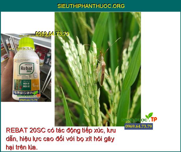 THUỐC TRỪ BỆNH REBAT 20SC - Đặc Trị Nhện Gié, Nhện Đỏ, Bọ Xít Muỗi ...