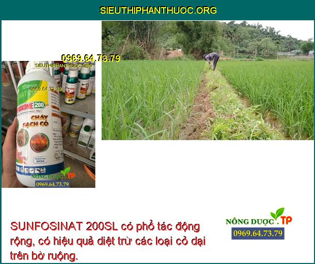 THUỐC TRỪ CỎ SUNFOSINAT 200SL GLUMOXONE 200 - Cháy Sạch Cỏ, Đặc Trị Cỏ ...
