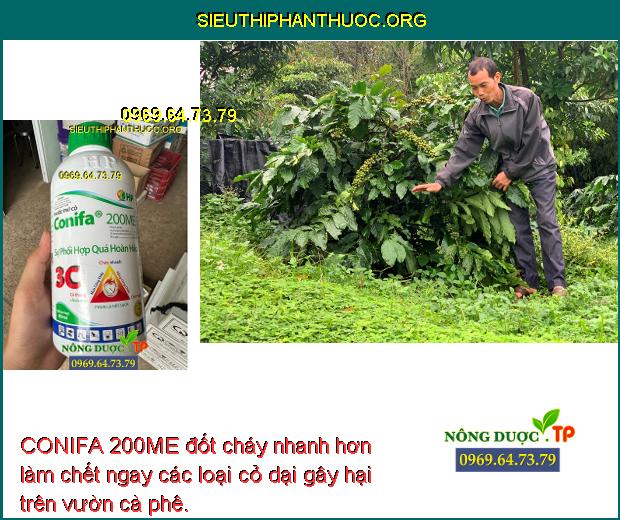 THUỐC TRỪ CỎ CONIFA 200ME - Đặc Trị Cỏ Mần Trầu, Cỏ Tranh, Cỏ Chỉ, Cỏ ...