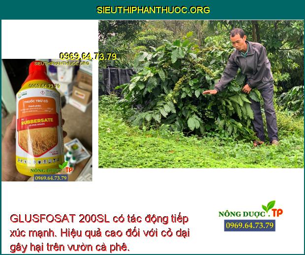 GLUSFOSAT 200SL RUBBERSATE CỎ PHÁ HOANG - Thuốc Trừ Cỏ Không Chọn Lọc ...